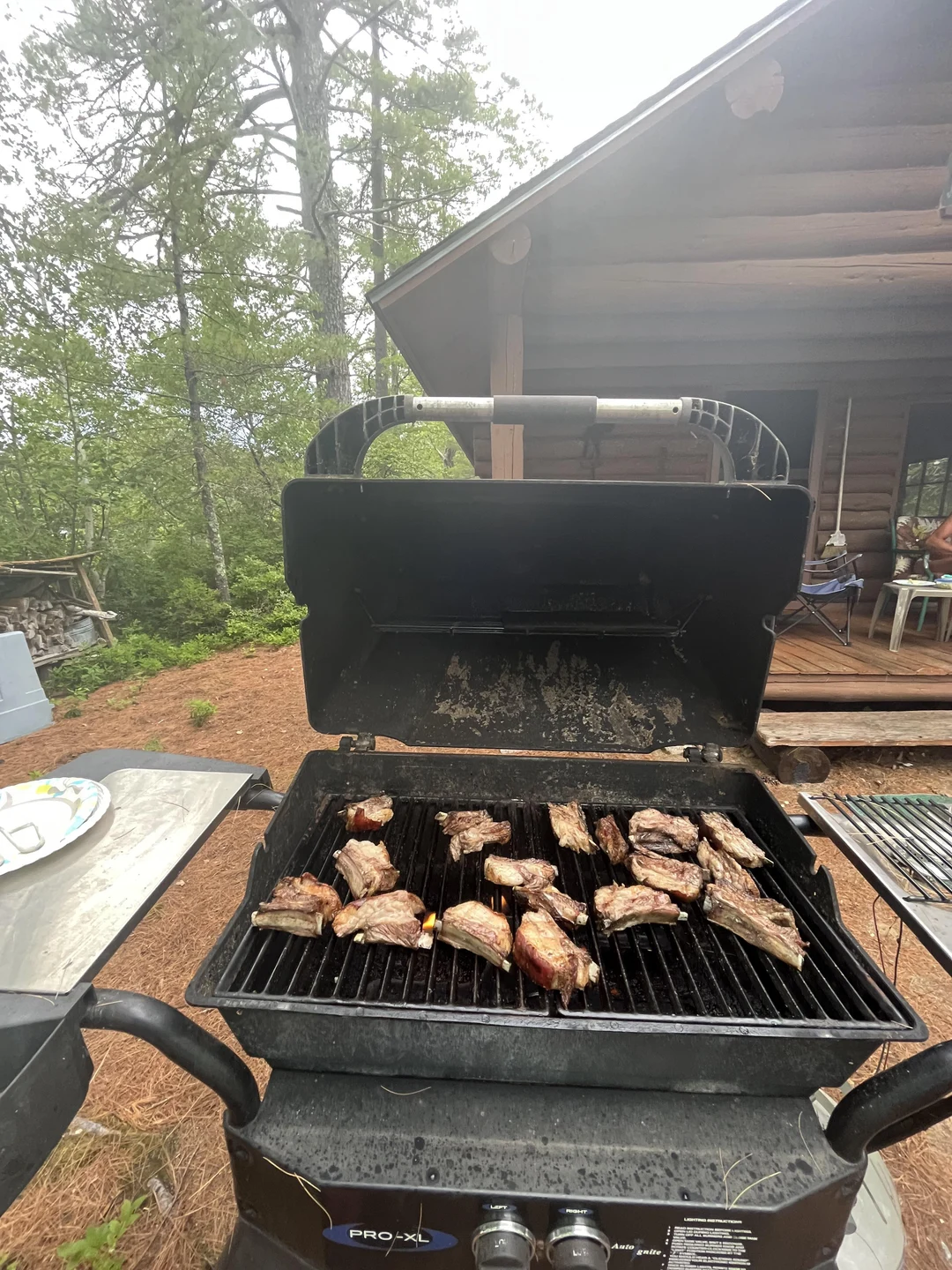 BBQ on the island 👍🏝 | Scrolller