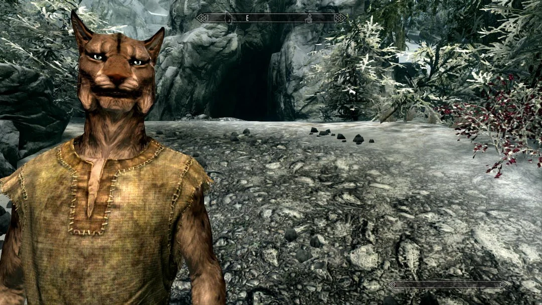 Meet Blitz, Khajiit fresh out of Helgen: any ideas for his personality? | Scrolller