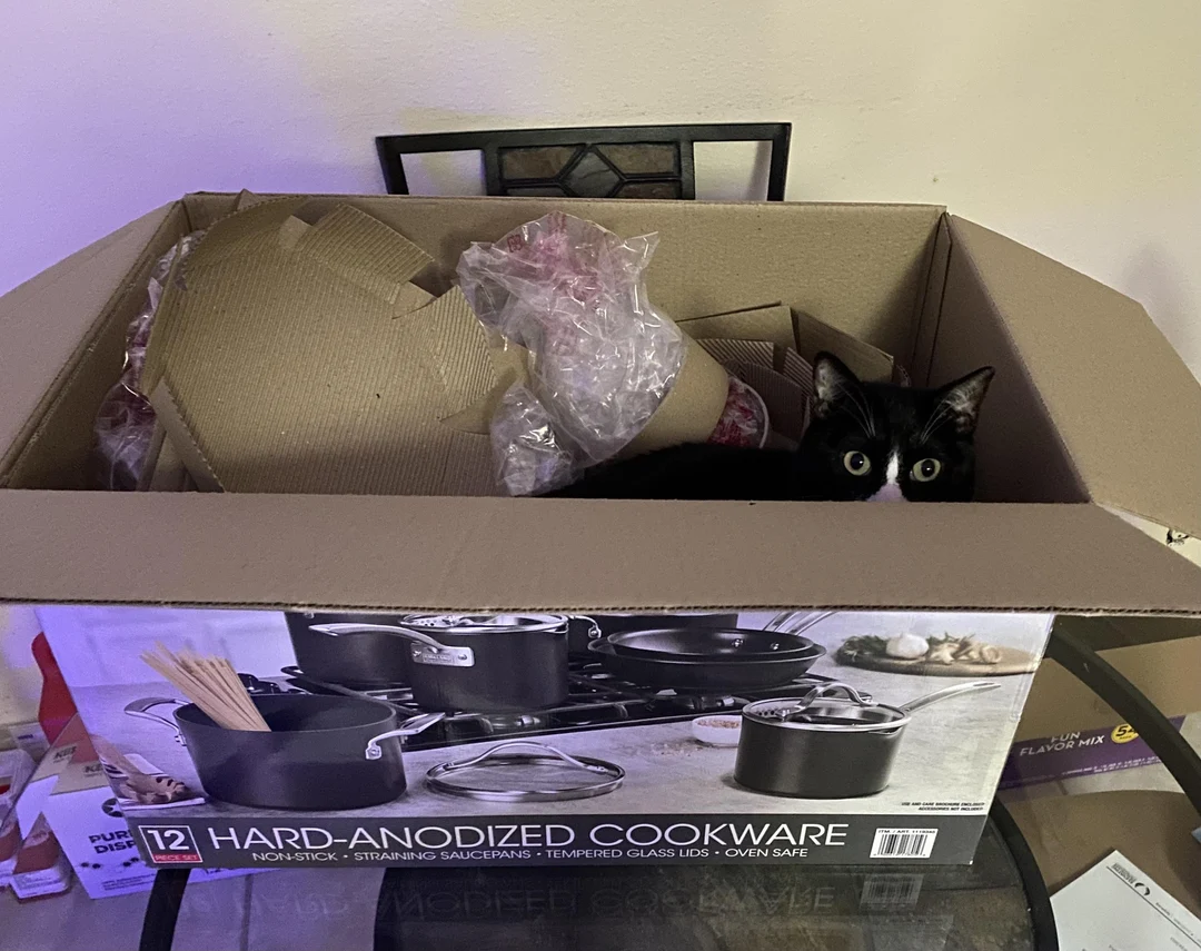 She just can’t resist a good Costco trap, even if it is filled with scraps. | Scrolller