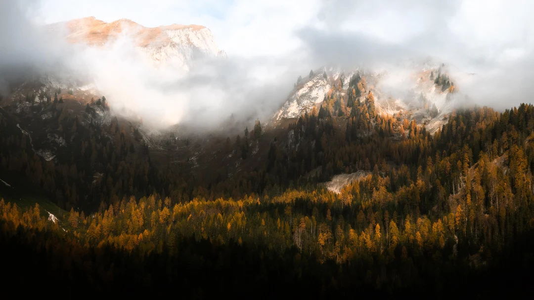 Dolomiti Trees {OC] [4672x2628] | Scrolller