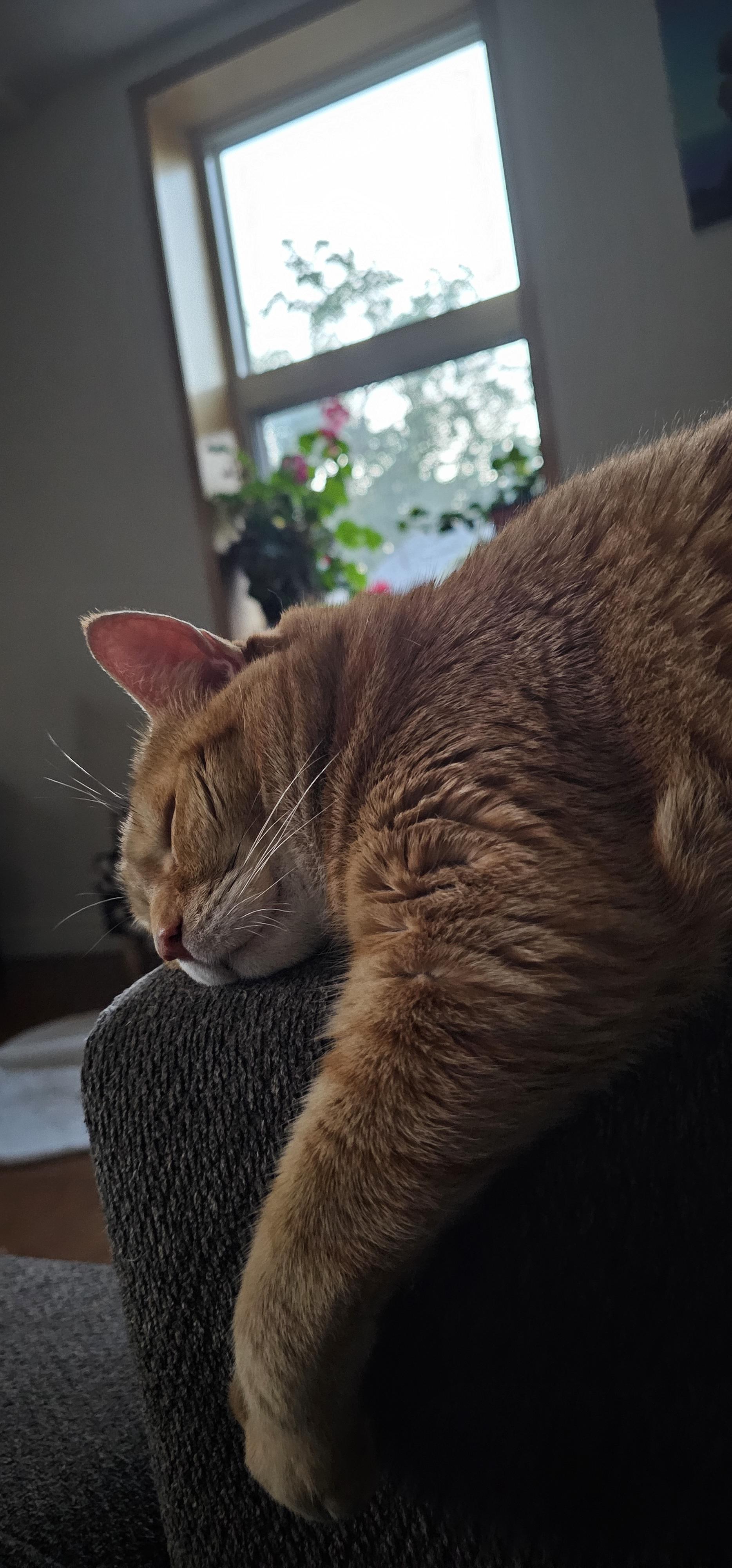 Butters the complete unit [OC] | Scrolller