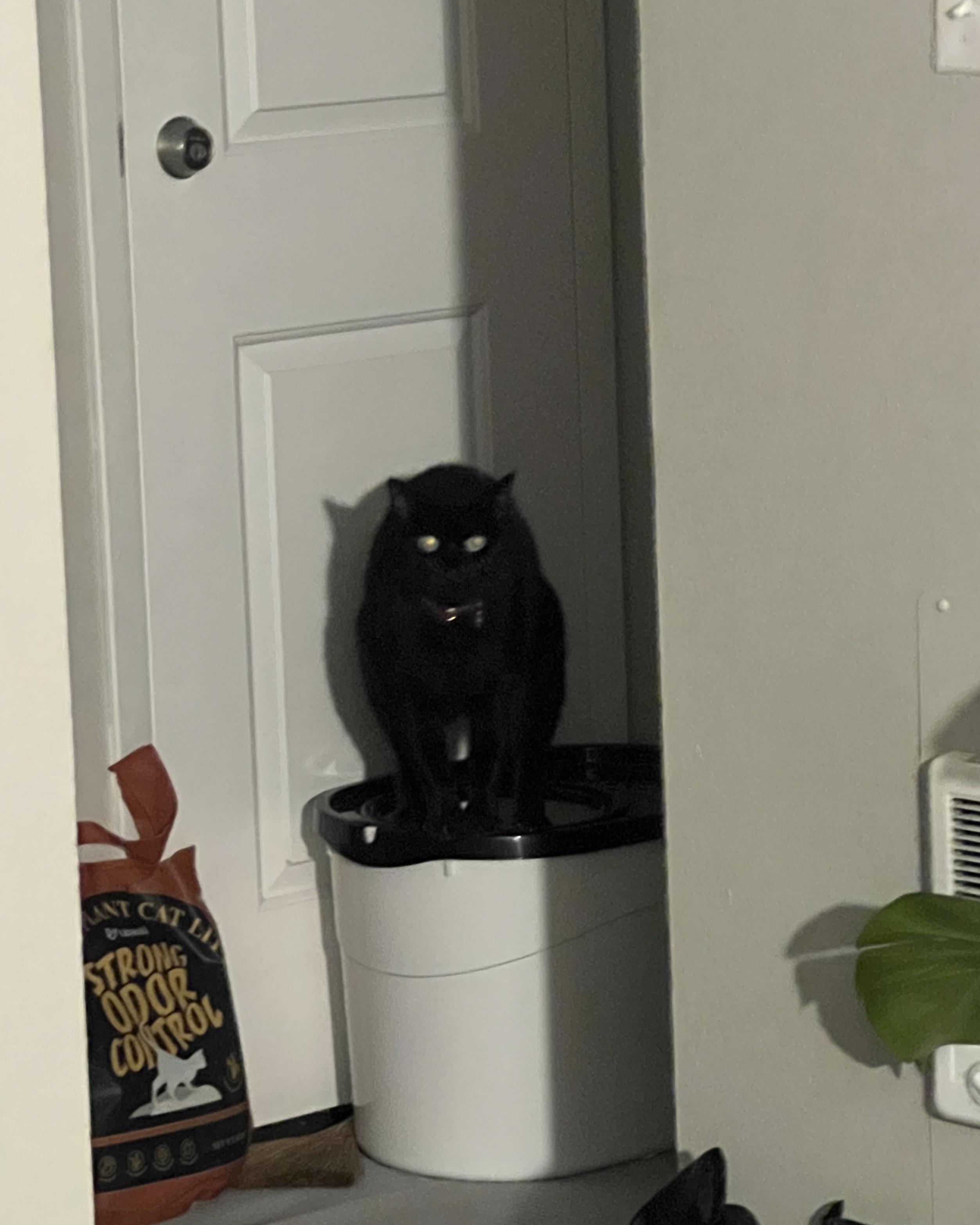 Scary stinky void | Scrolller