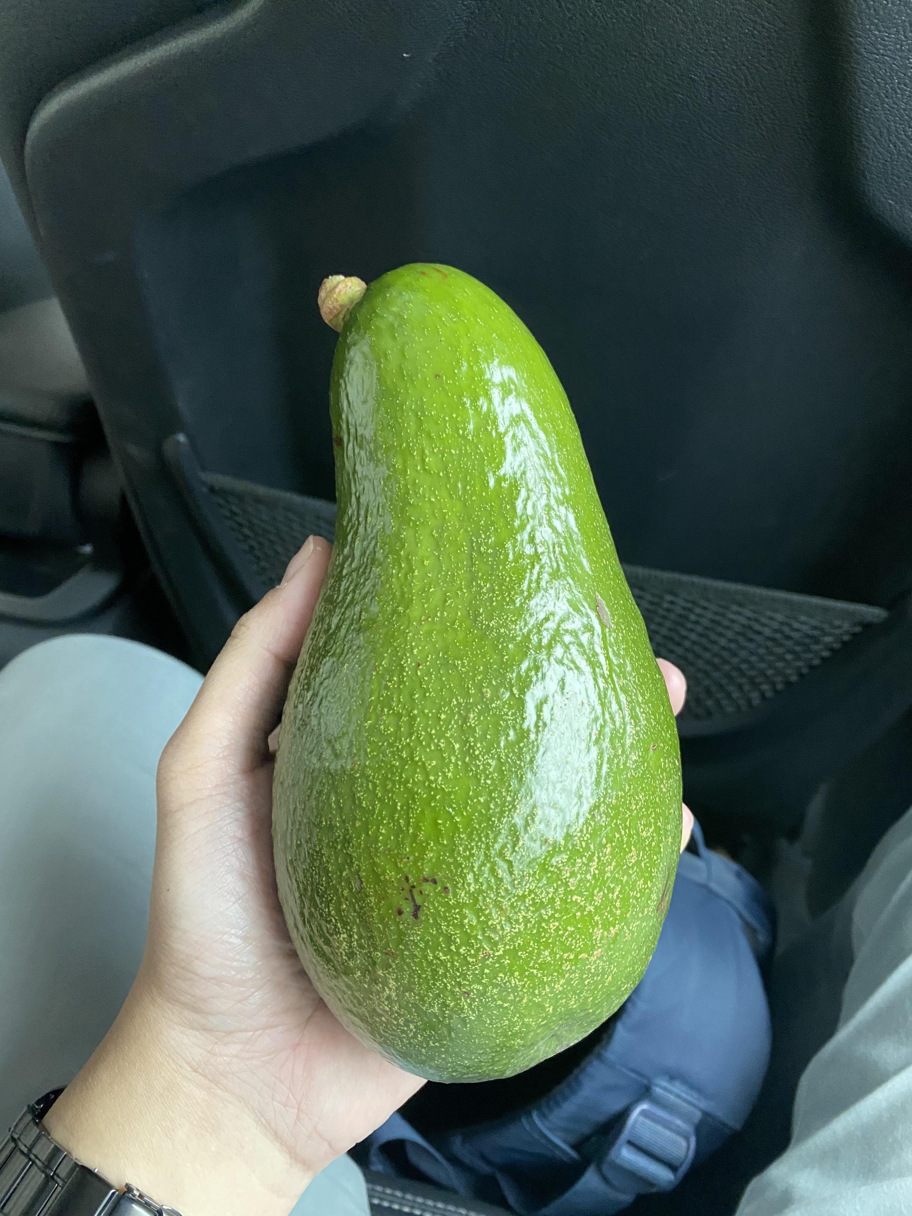 This outrageously sized avocado | Scrolller