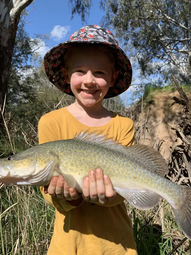Nice Murray cod( catch and release | Scrolller