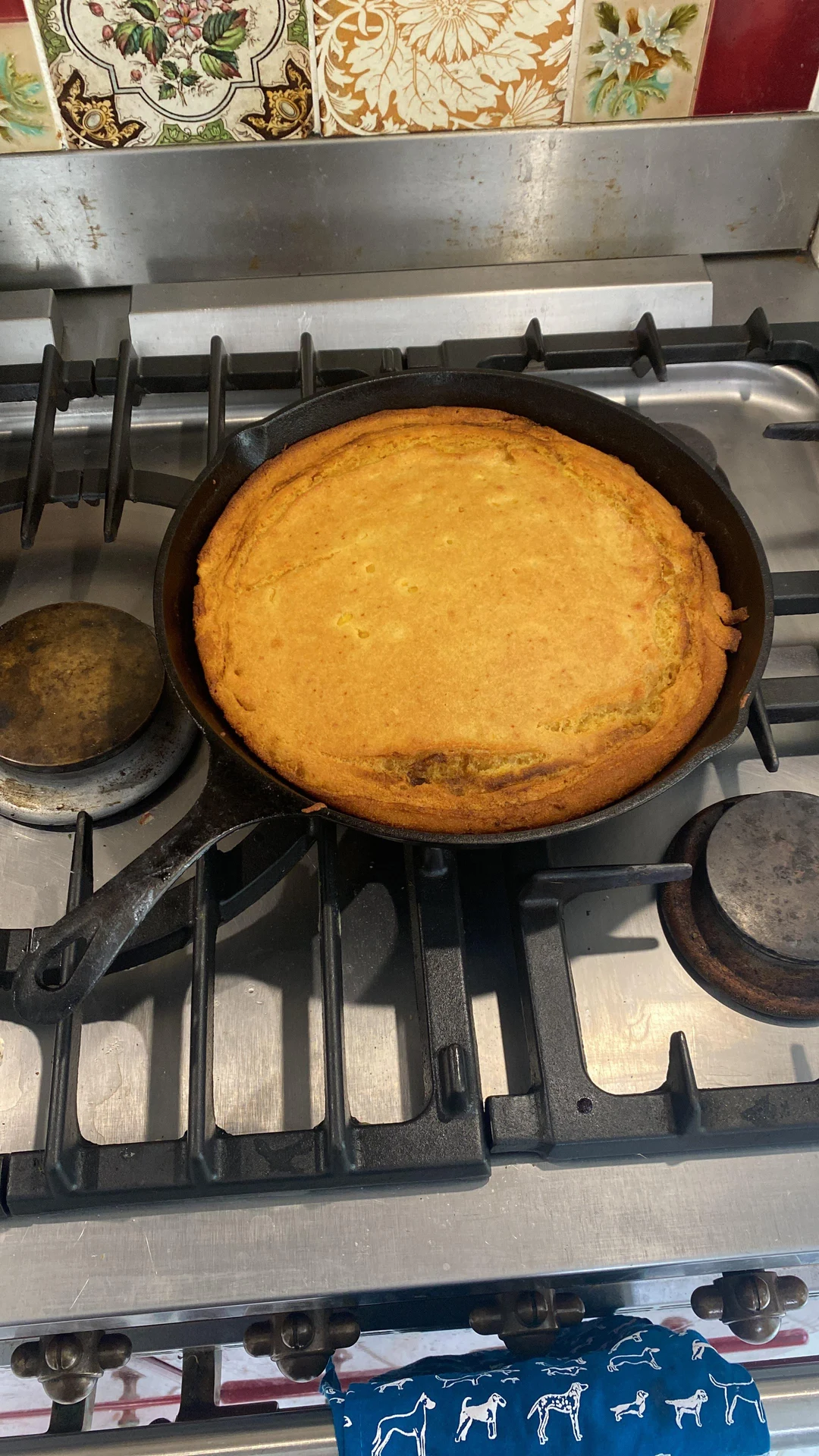 Cornbread | Scrolller