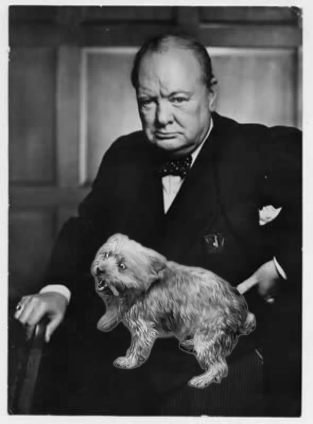 More of my Dog Harvey in History | Scrolller