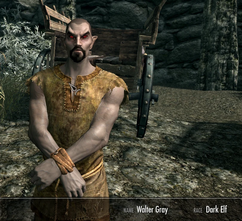 Walter White, but he's a dark elf | Scrolller