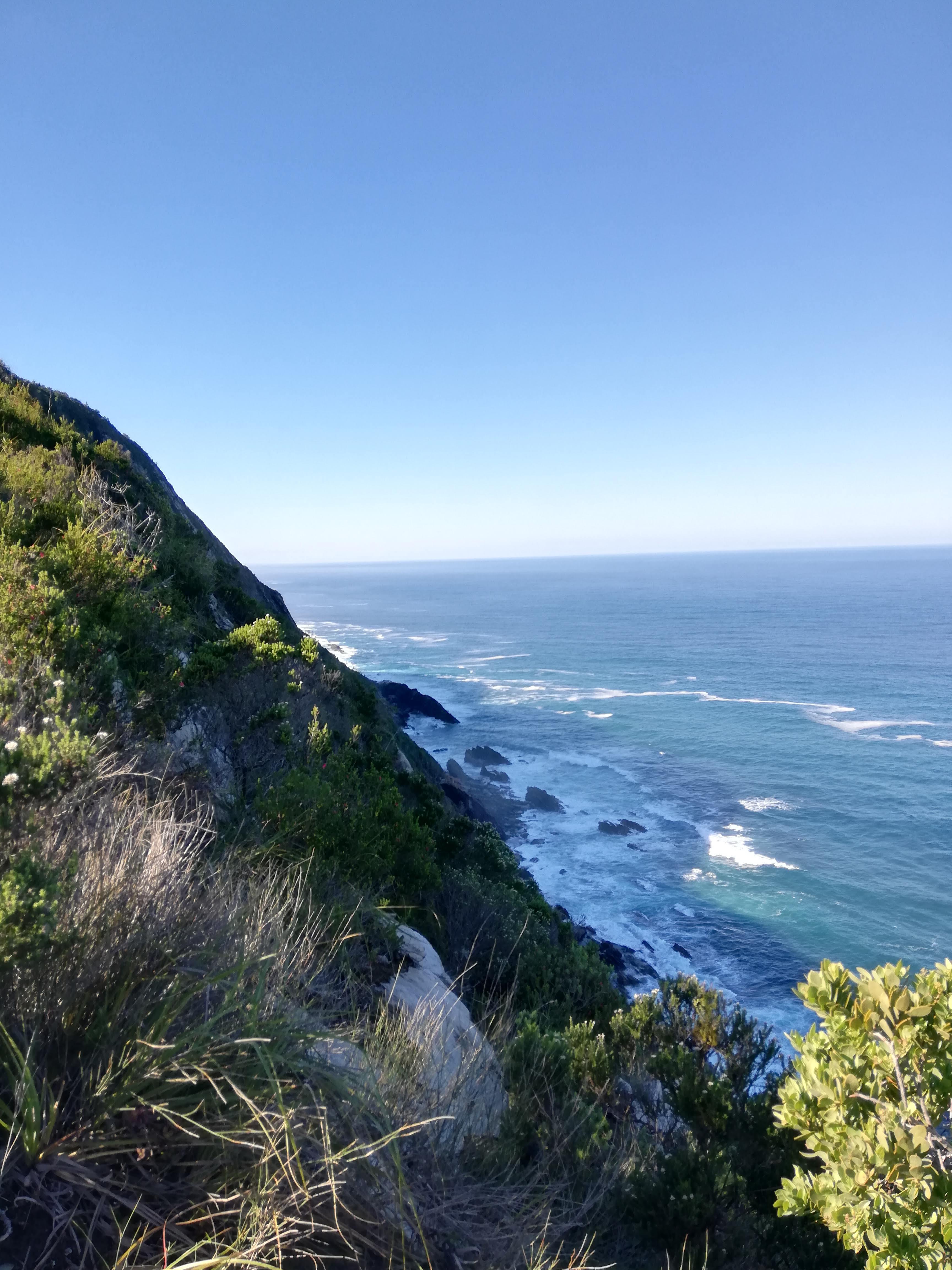 Cliffside at Tsitsikamma National Park [3456x4608] [OC] | Scrolller