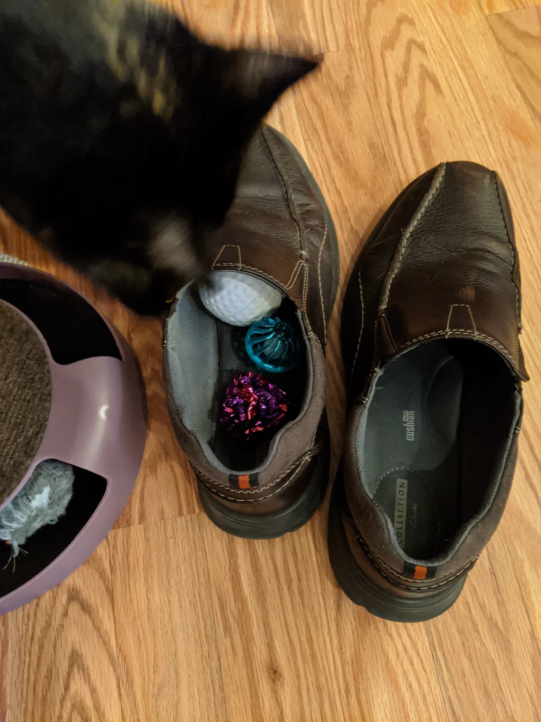 Entertainment provided by Smudge | Scrolller