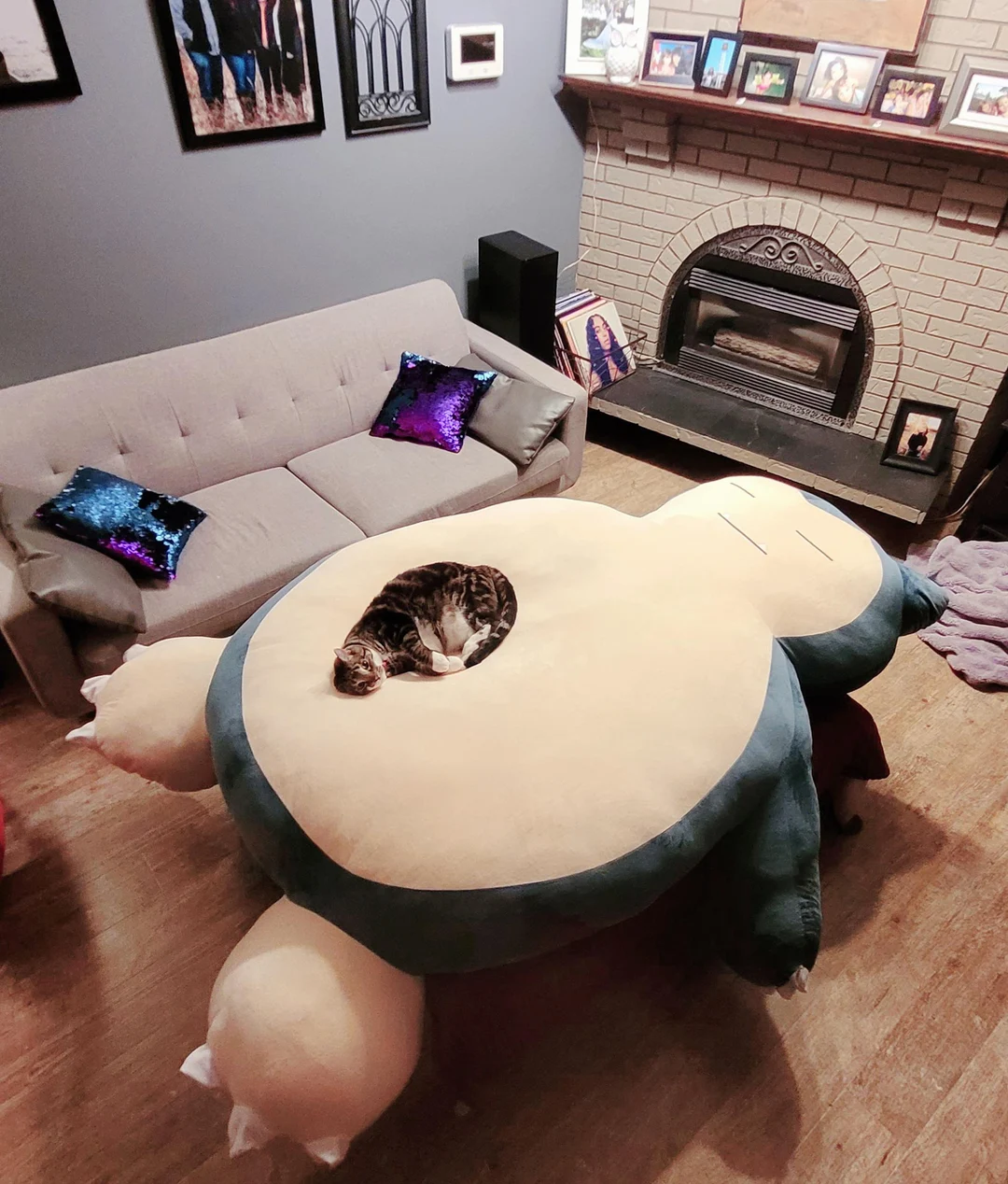 A Cat and Her Snorlax | Scrolller