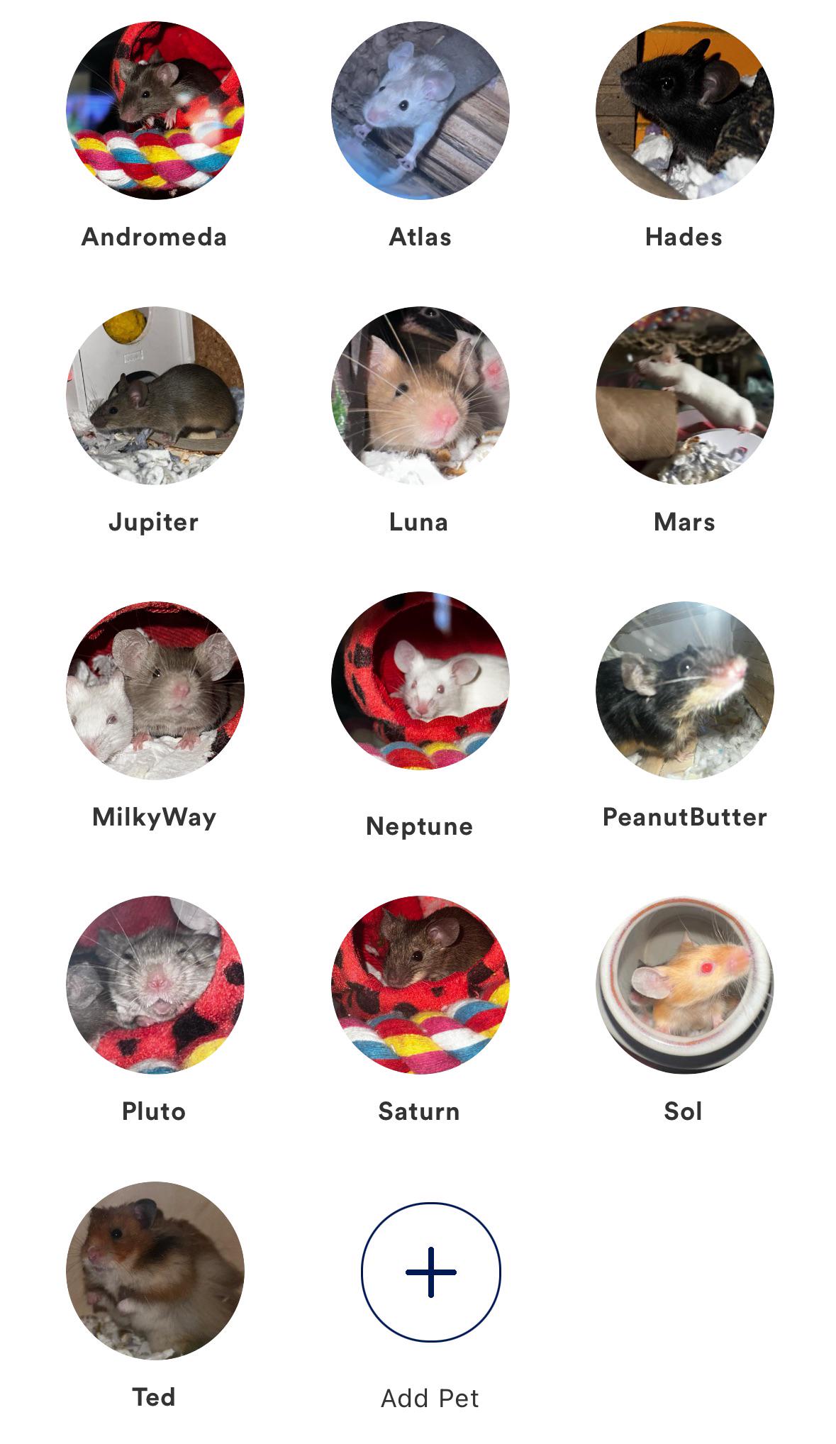 List of my babies | Scrolller