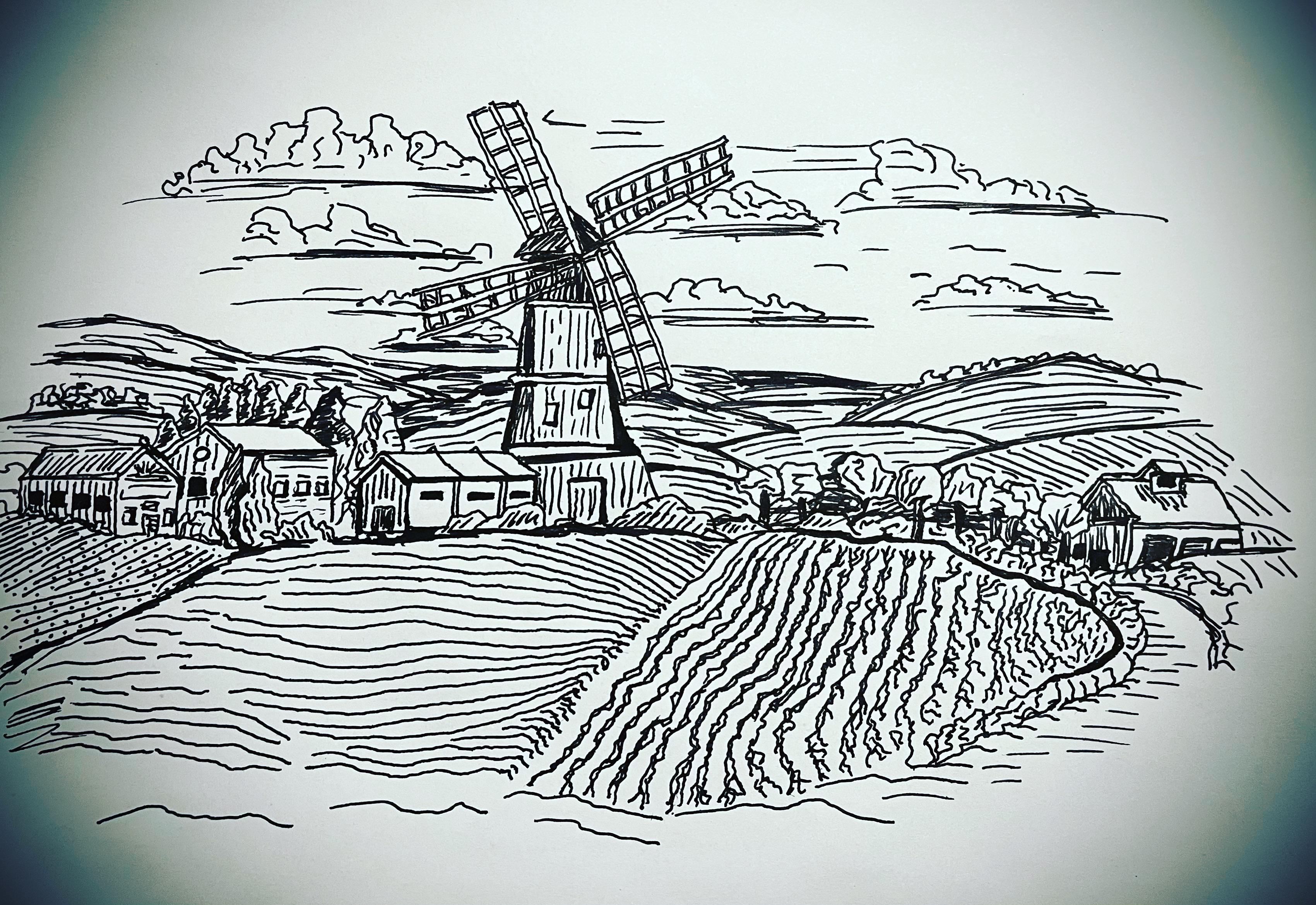 Fields, Me, Pen, 2023 | Scrolller