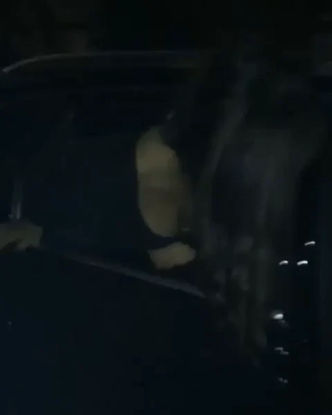 HMC as I try to exit this vehicle | Scrolller