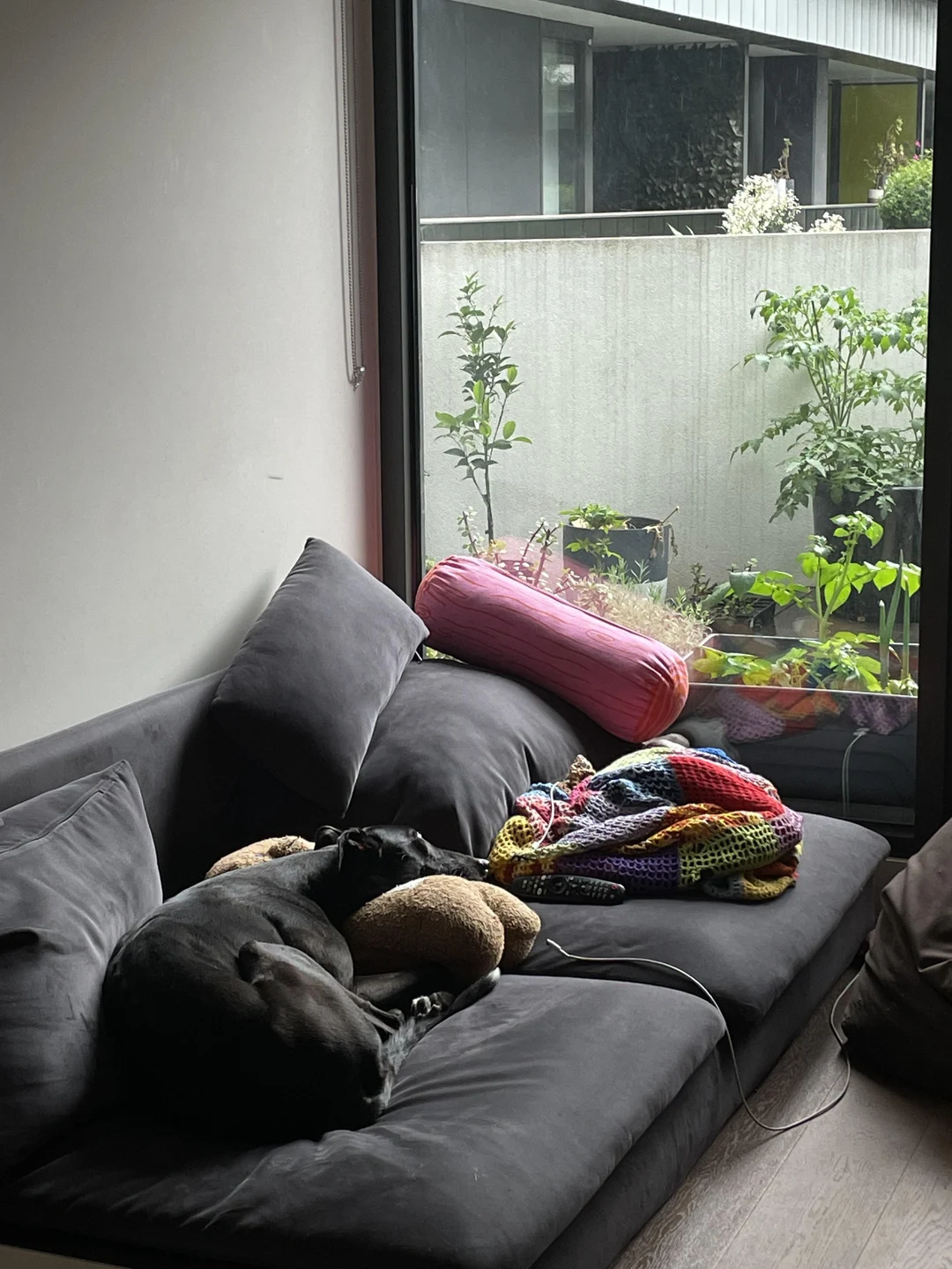 Wondering what she’s contemplating about… | Scrolller