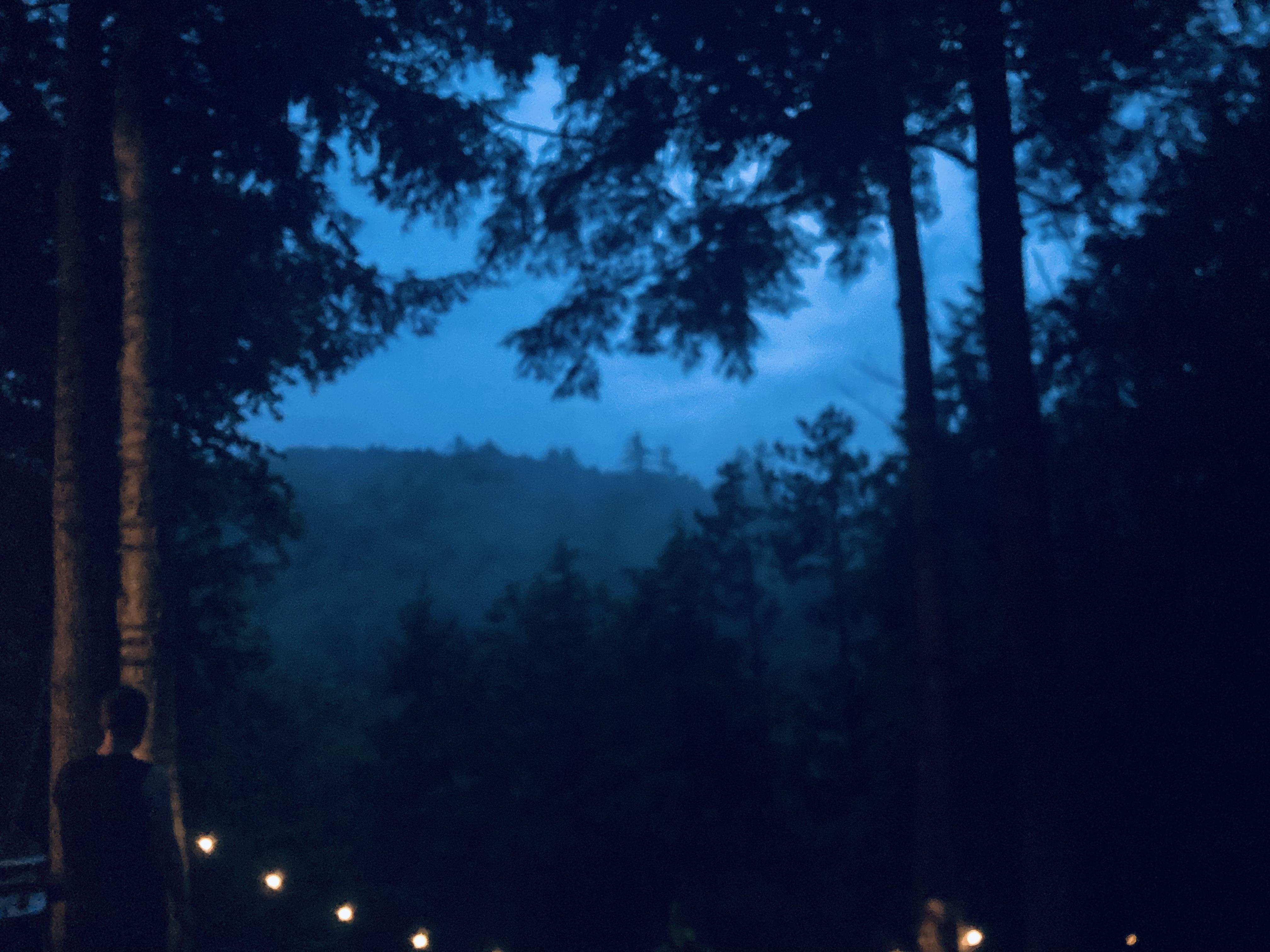 Cabin views | Scrolller