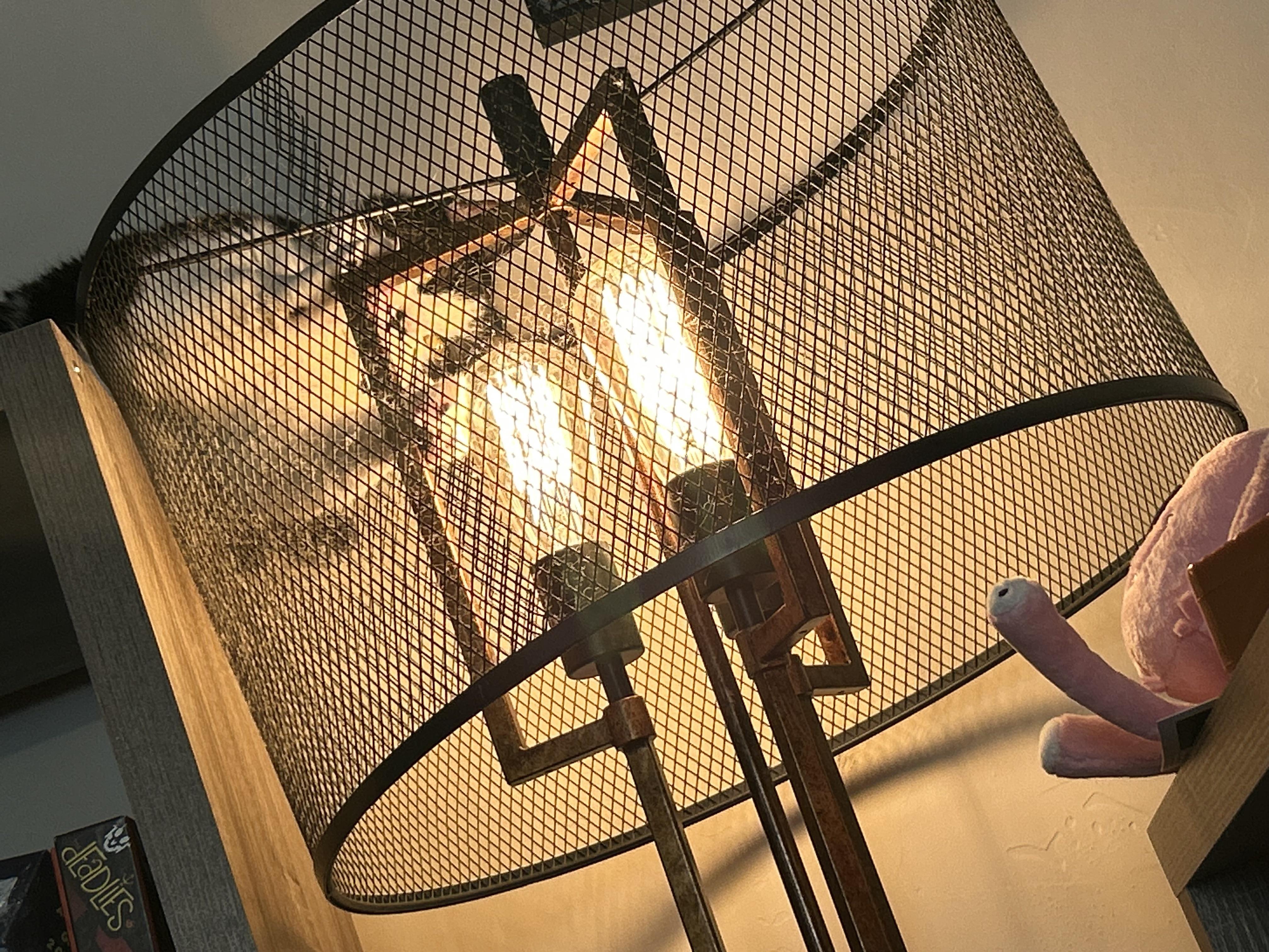 Lamp kitty | Scrolller