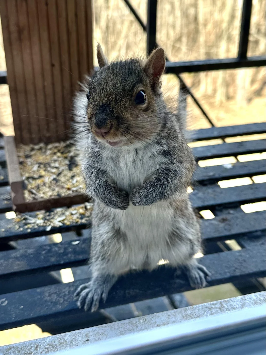 Cutie alert ‼️ | Scrolller