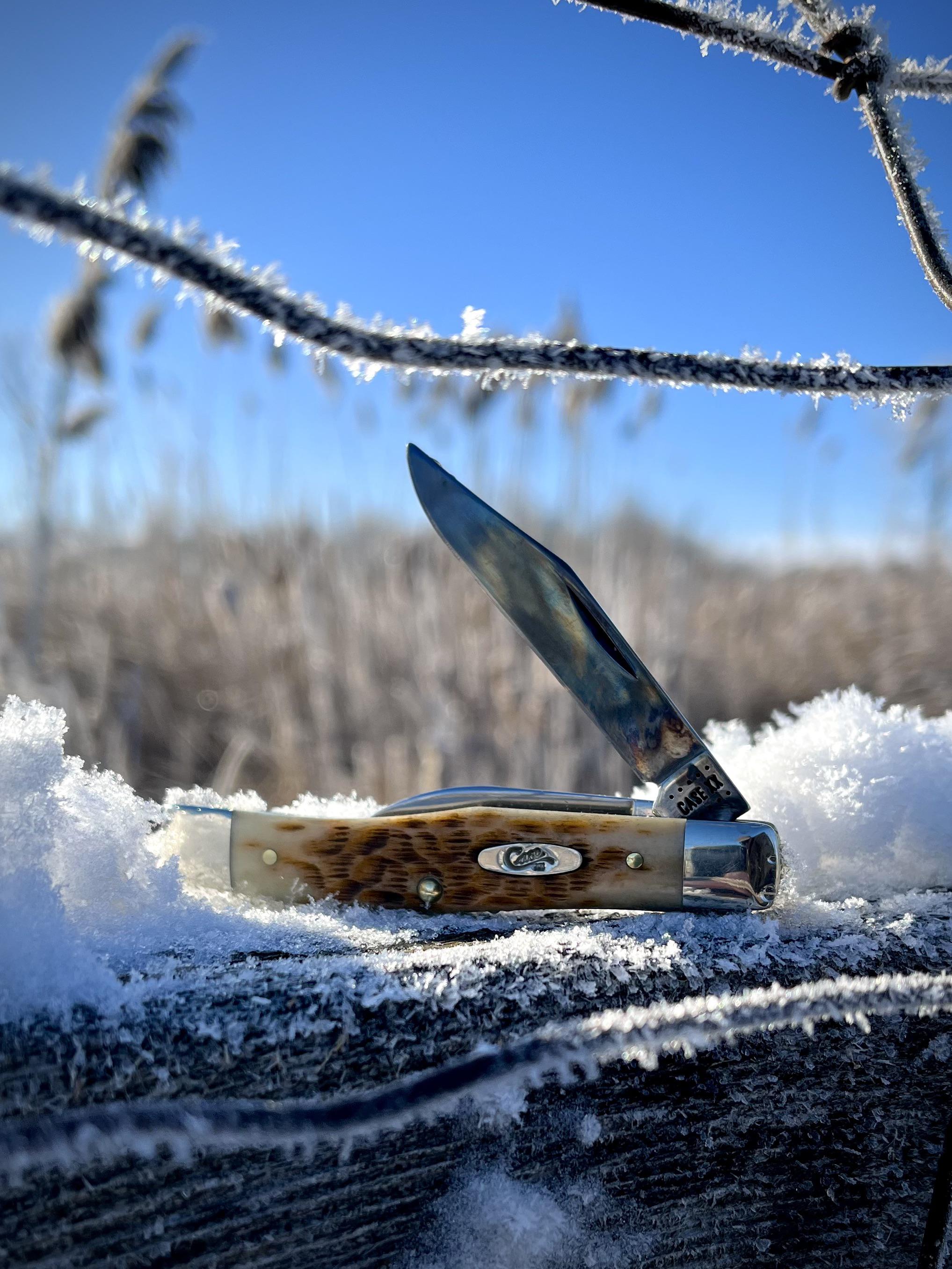 Small Texas Jack | Scrolller