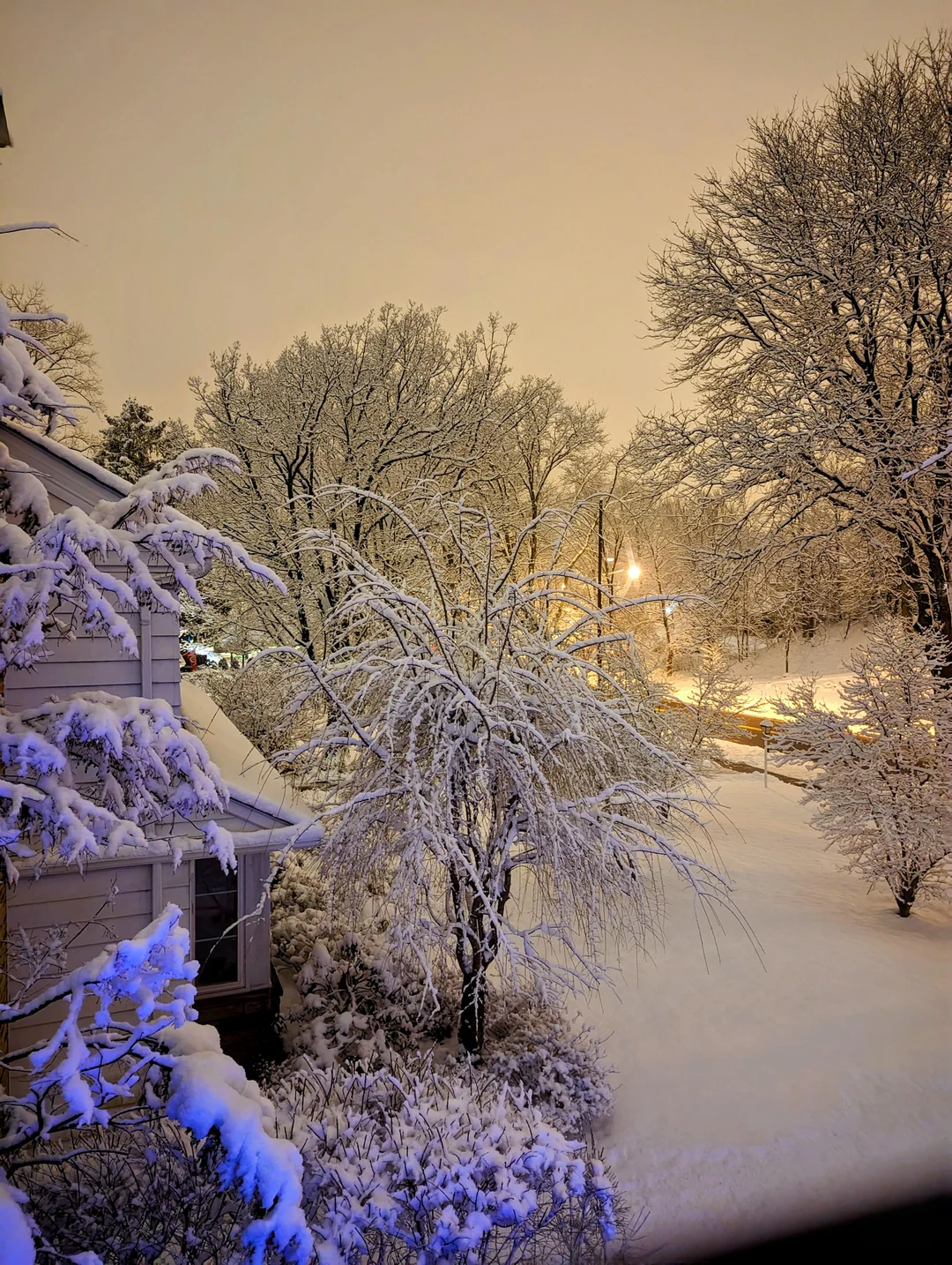Simple landscape from the first real snow in Cleveland this year. | Scrolller