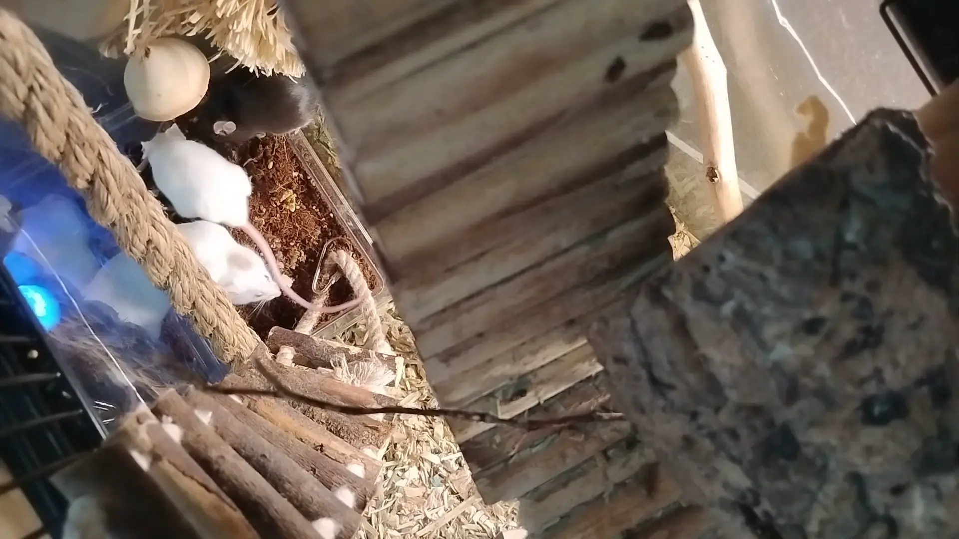 Camera spotted | Scrolller