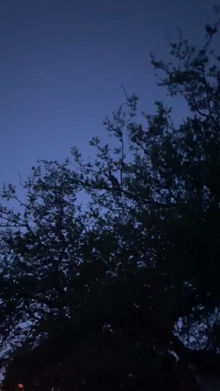 Can anyone help me identify | Scrolller