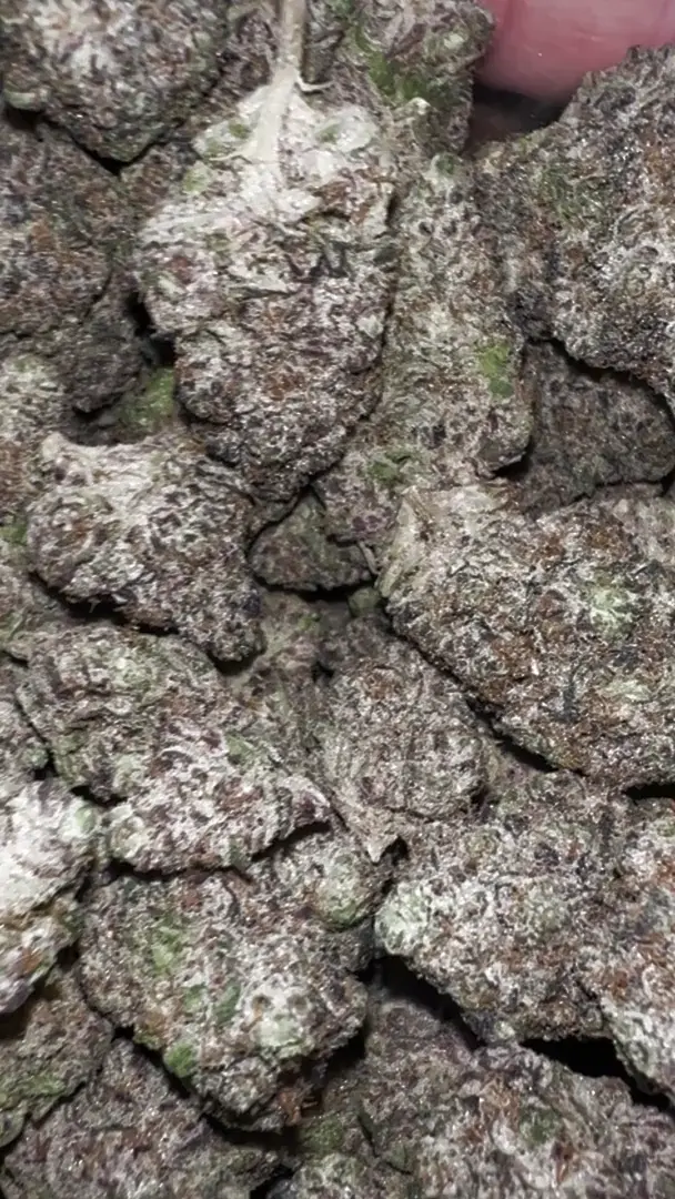 Can you guess the strain⁉️Terps of grape gushers🔥 | Scrolller