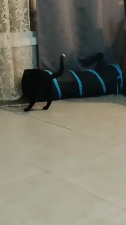 Candle Void is back in black | Scrolller