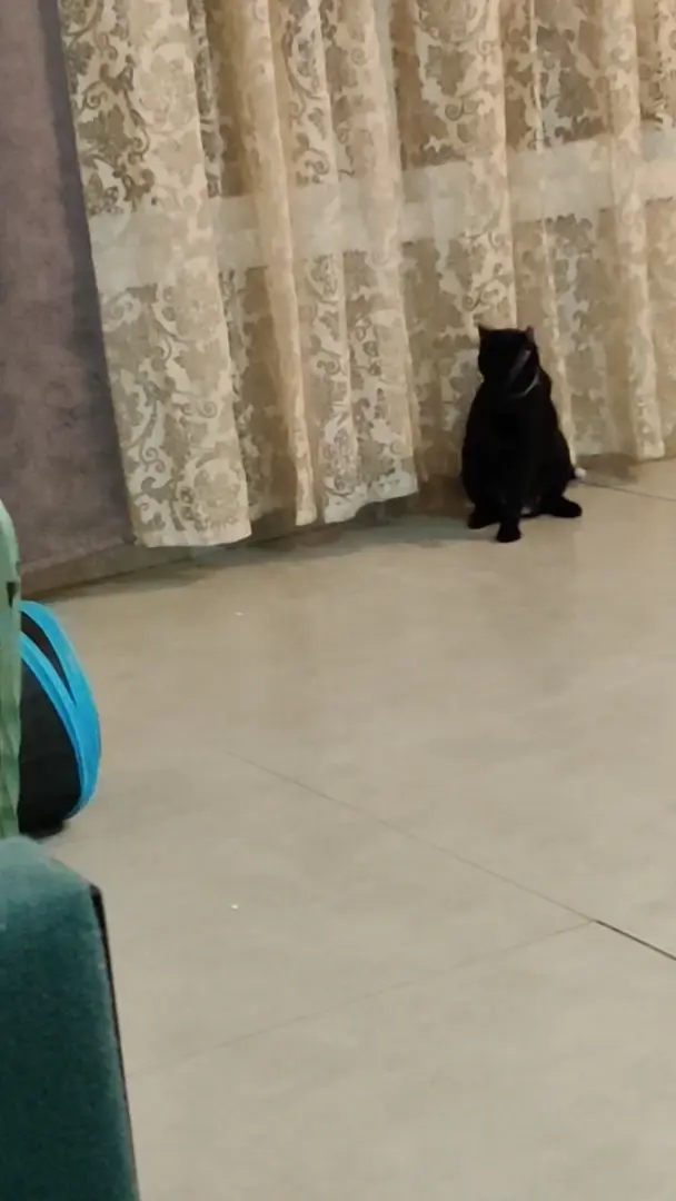 Candle Void is startled | Scrolller