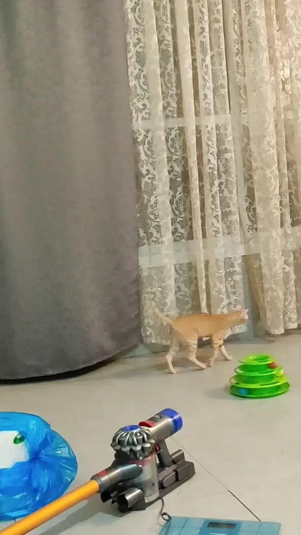 Candle Void startling Haru | Scrolller