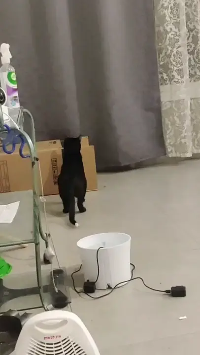 Can't Touch | Scrolller