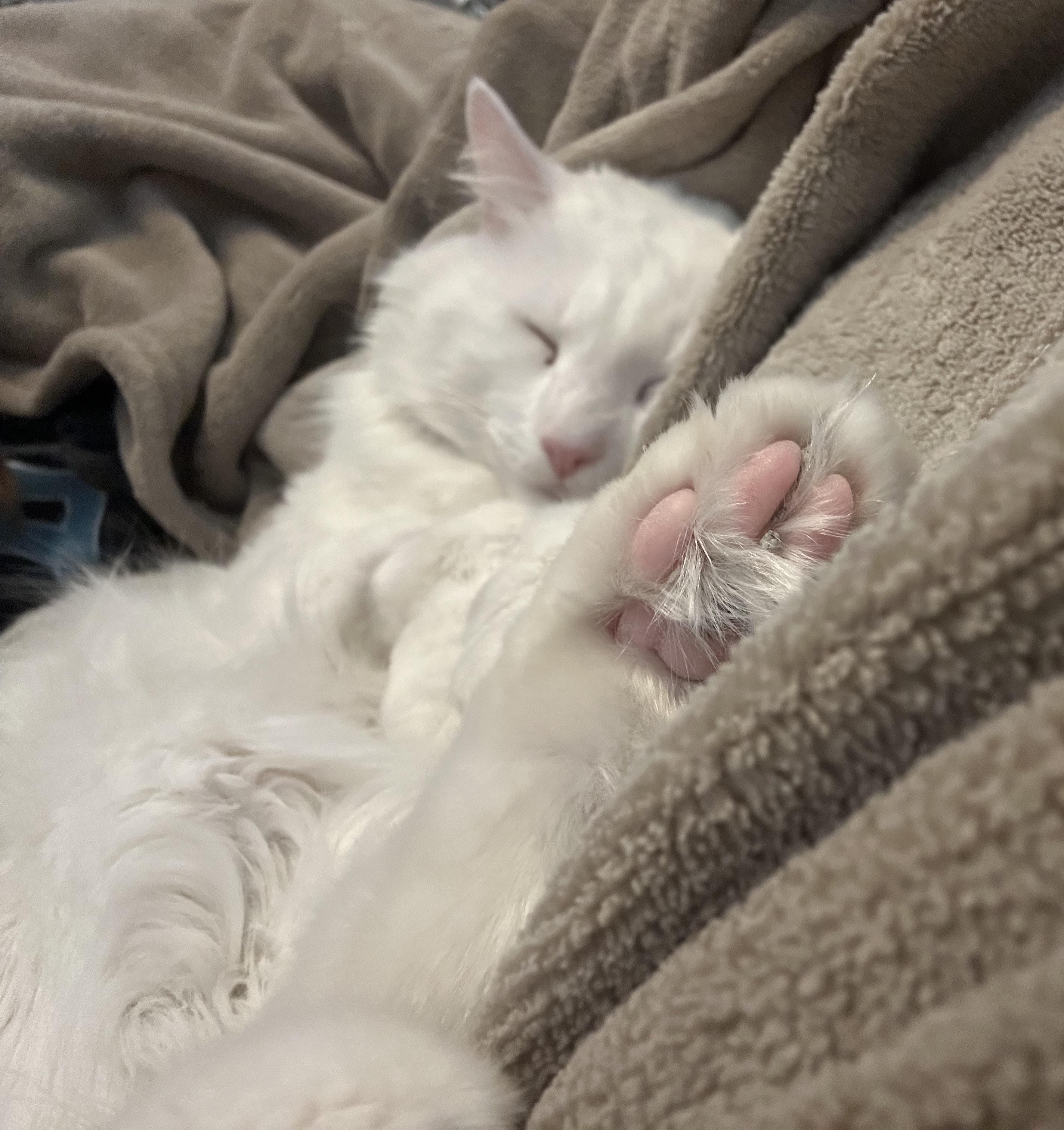 Casper Flashing the Toe Beans | Scrolller