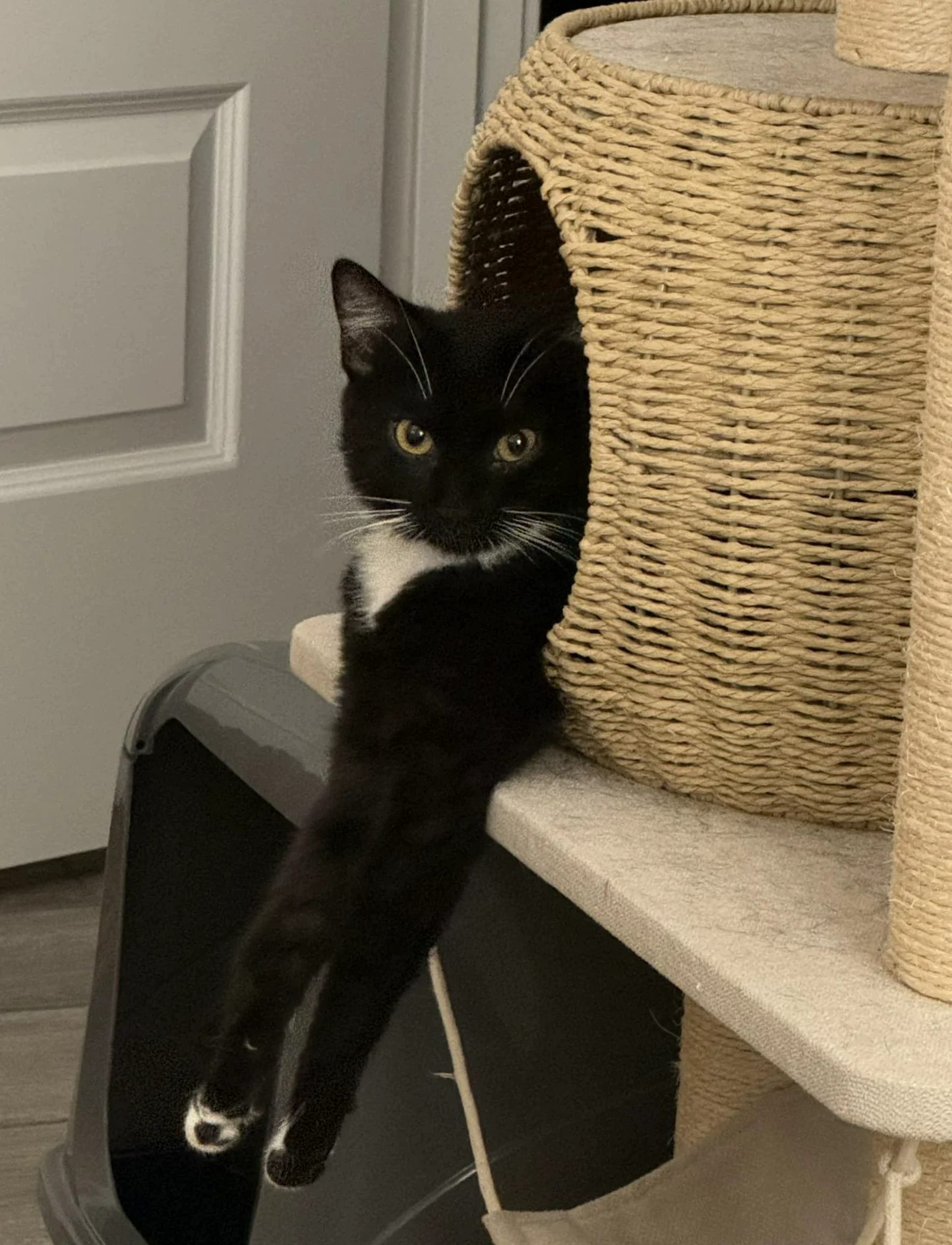 Casually splooting | Scrolller