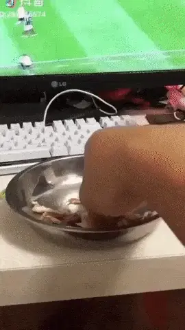 Cat Logic | Scrolller