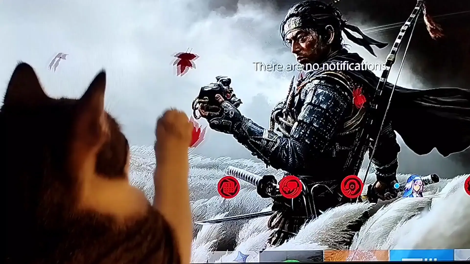 Cat taps leaves | Scrolller