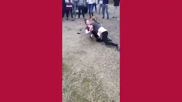 Catfight | Scrolller