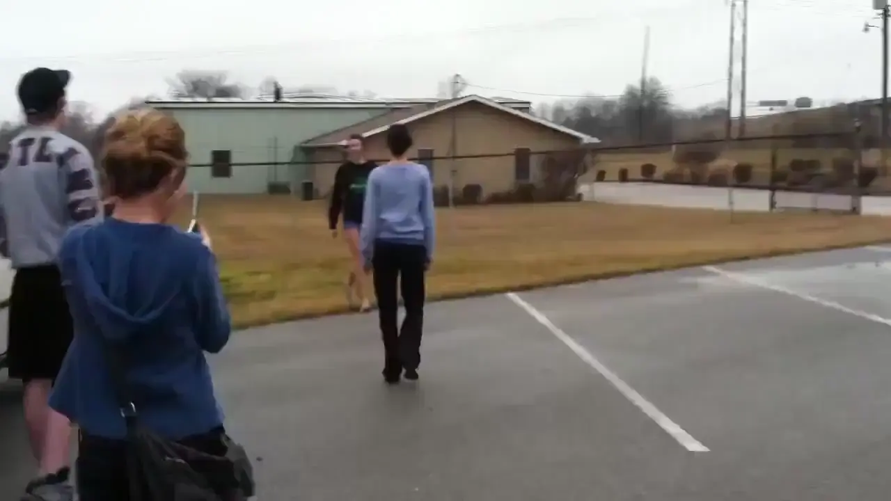 Catfight | Scrolller