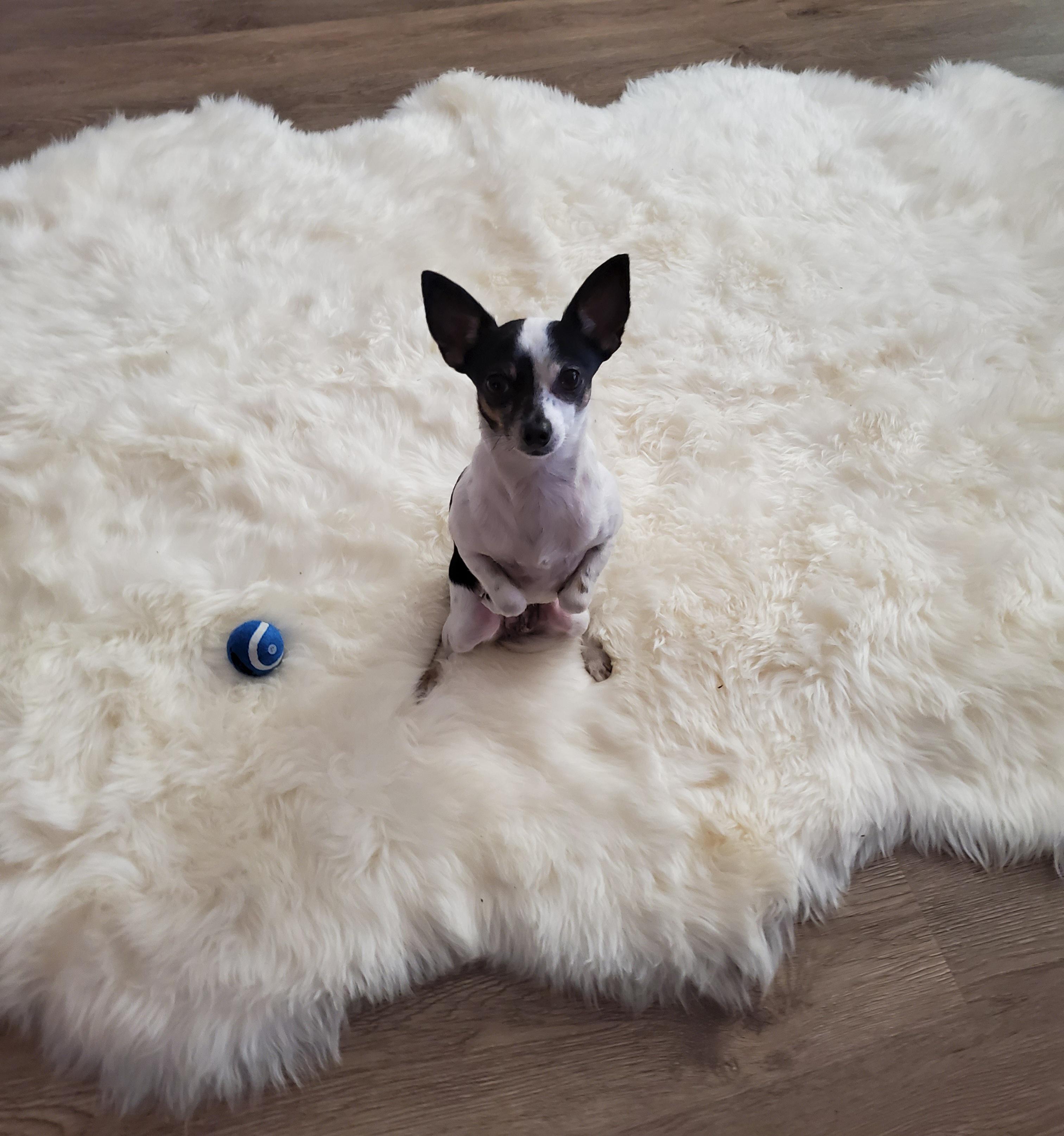 My little Peanut | Scrolller