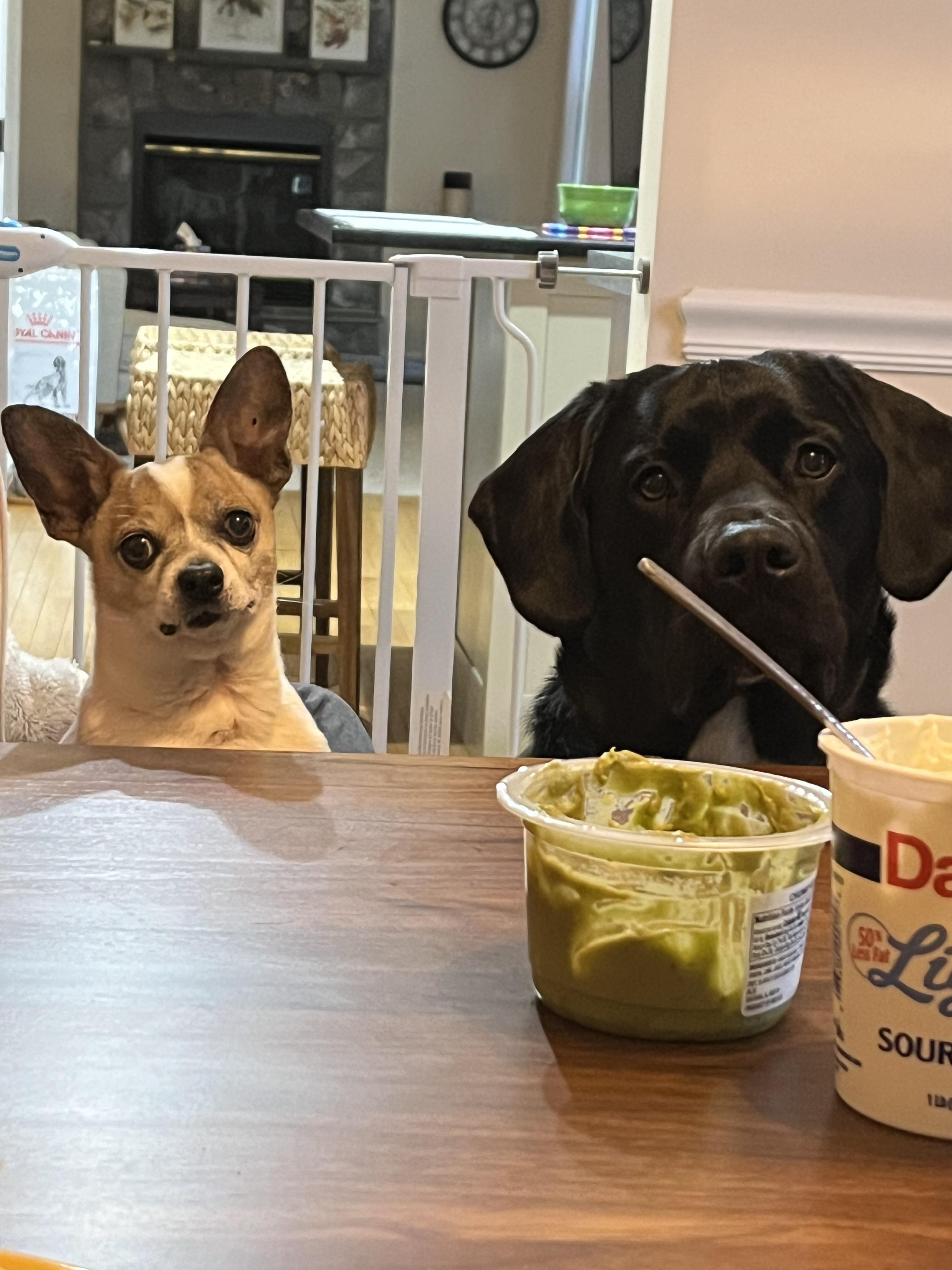 Spoon removal ~ | Scrolller