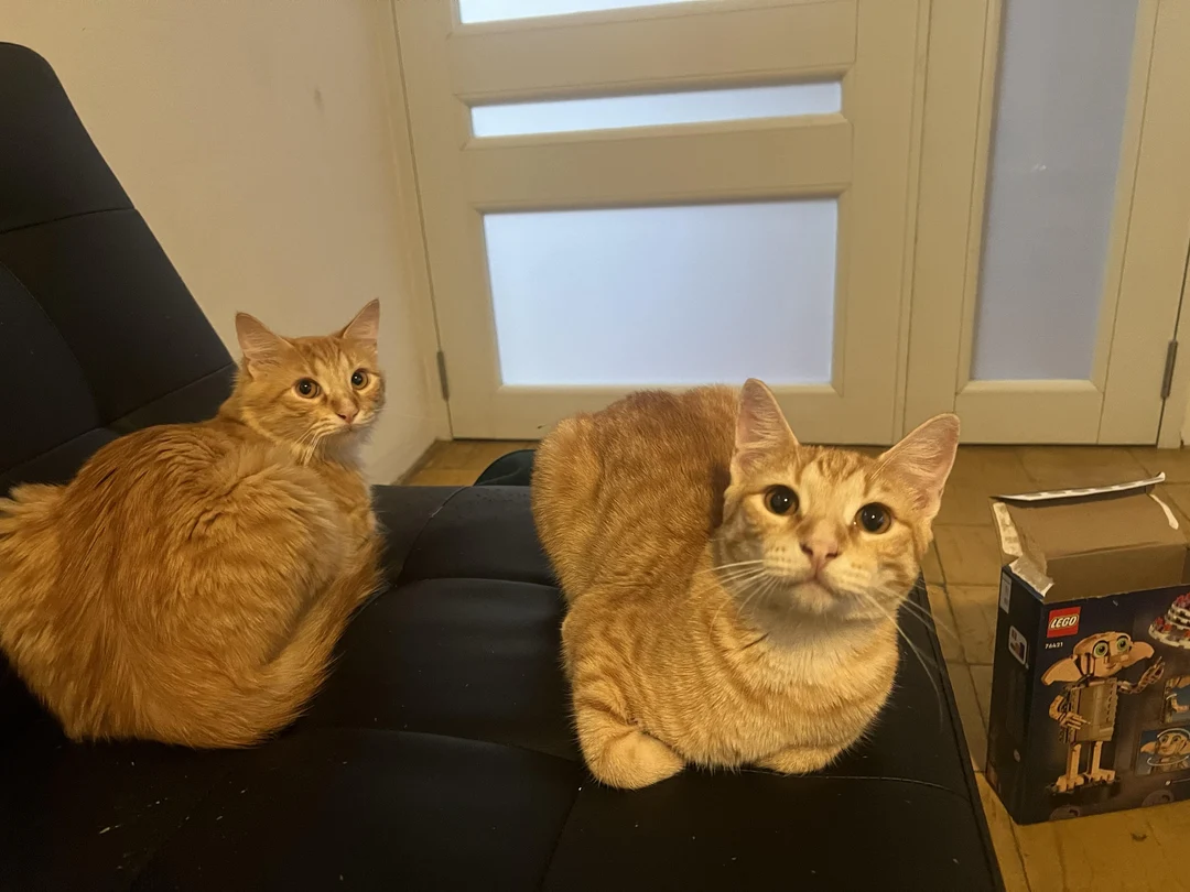 rare double loaf | Scrolller