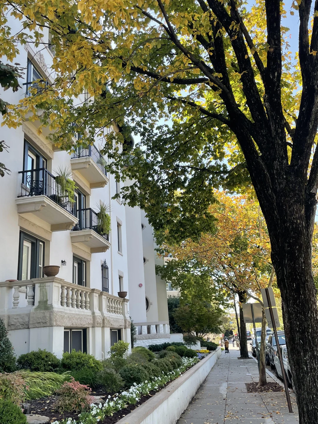 Washington, D.C. Today | Scrolller