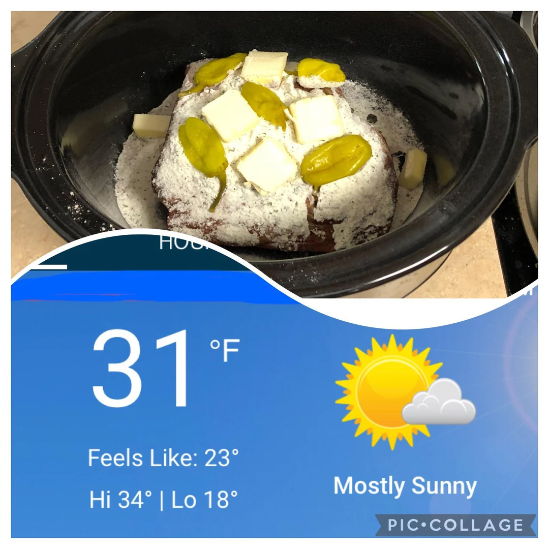 The only logical choice with these wild Texas temps! | Scrolller