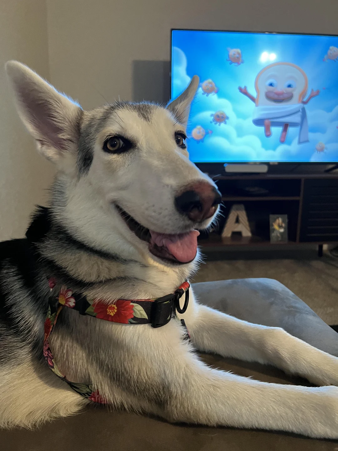 So much derpy 😃 | Scrolller