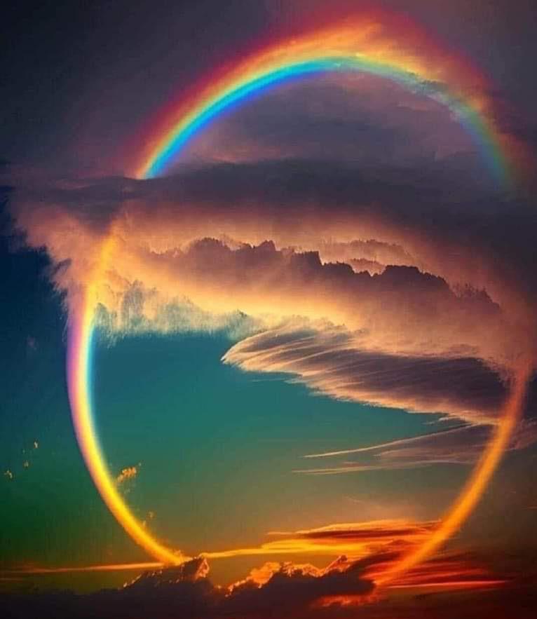 Amazing colourful and beautiful pride. | Scrolller