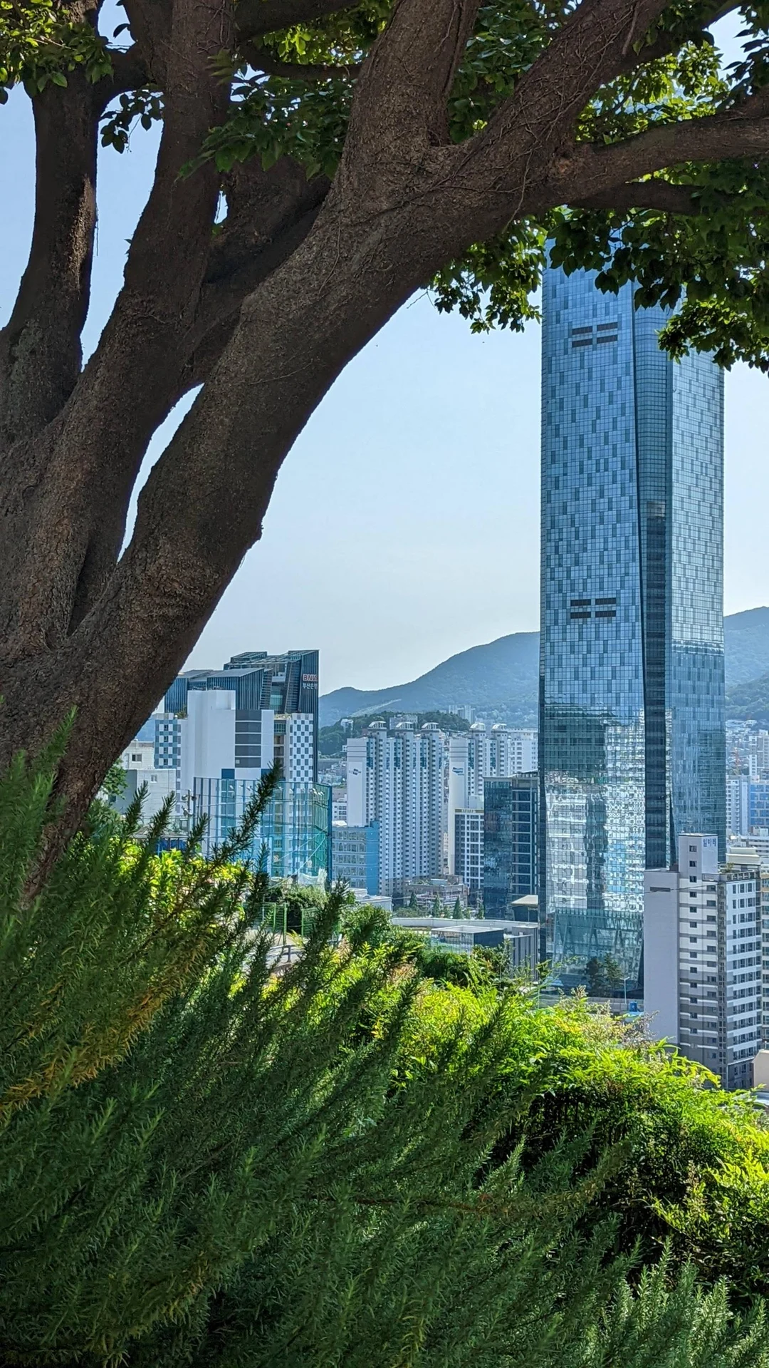 Busan, South Korea | Scrolller