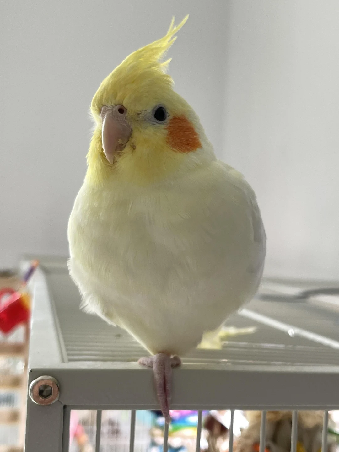 Perfectly balanced | Scrolller