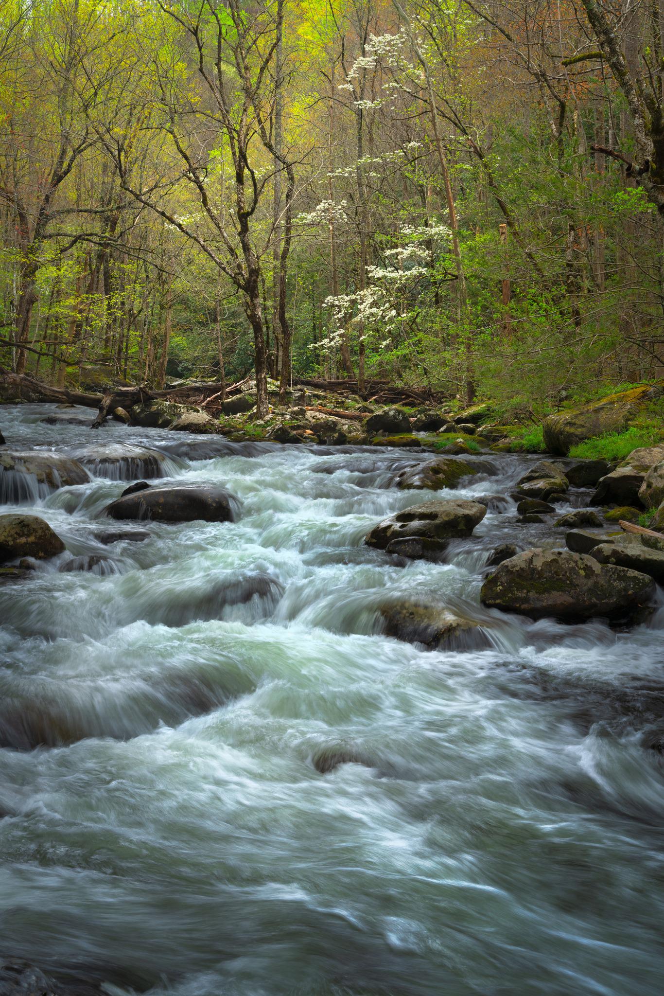 Spring Flow | Scrolller