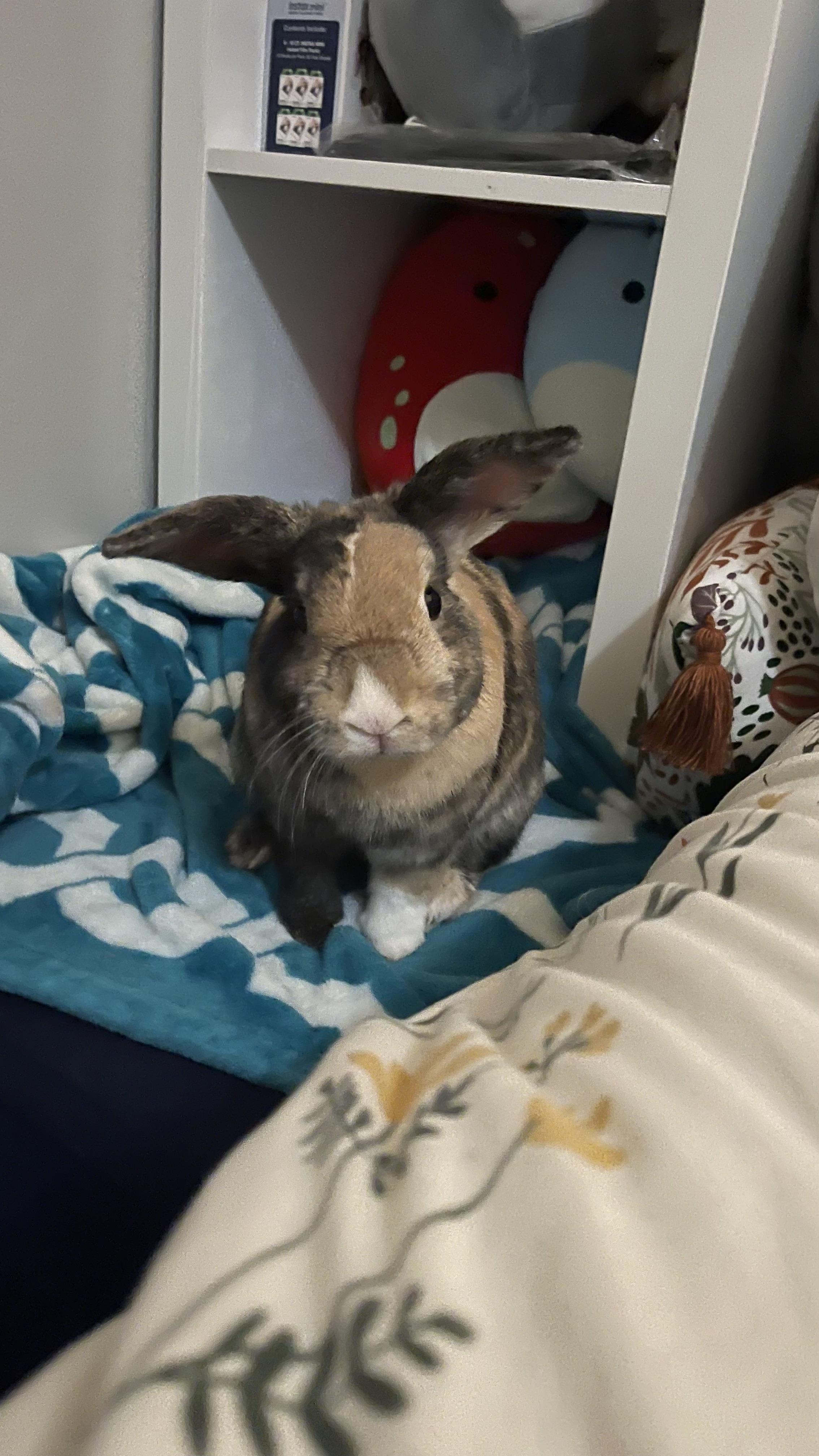 Head tilt????? | Scrolller