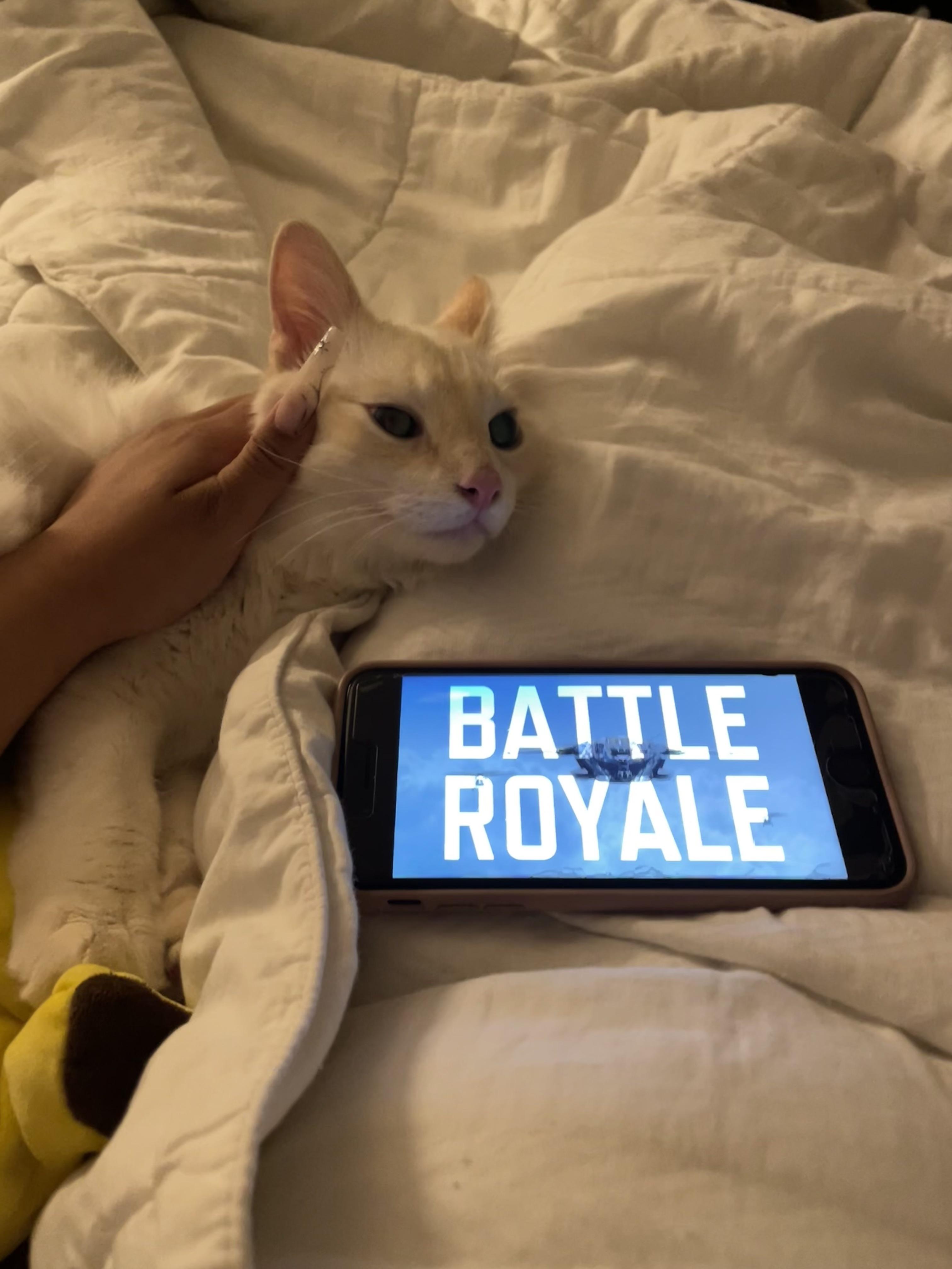 My codm assistant | Scrolller