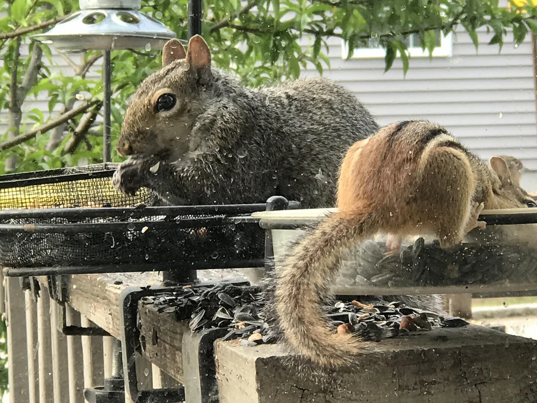 Getting Along… | Scrolller