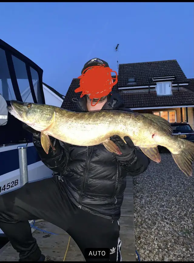 Caught a pike yesterday, a personal best for me | Scrolller